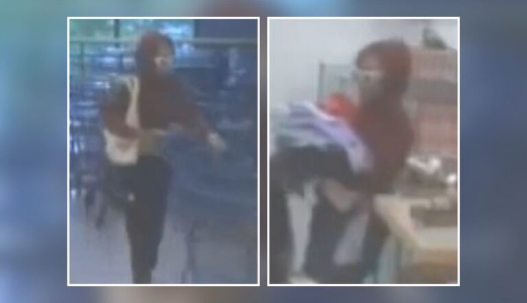 Woman Sought in Commack Marshalls Theft
